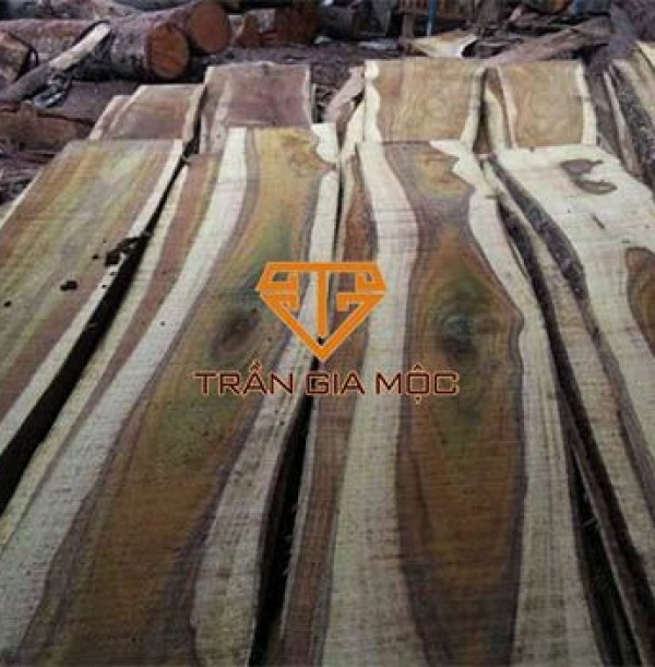 Cây Gỗ Muồng Đen Là Gì? Nơi Thu Mua Cây Gỗ Muồng Đen Giá Cao